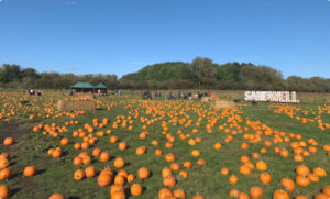 Events & Activities - Forge Mill Farm