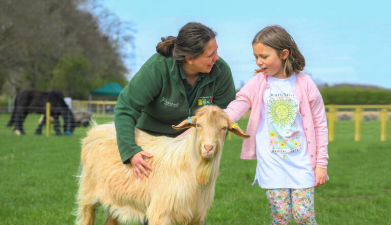 Meet the Animals - Forge Mill Farm