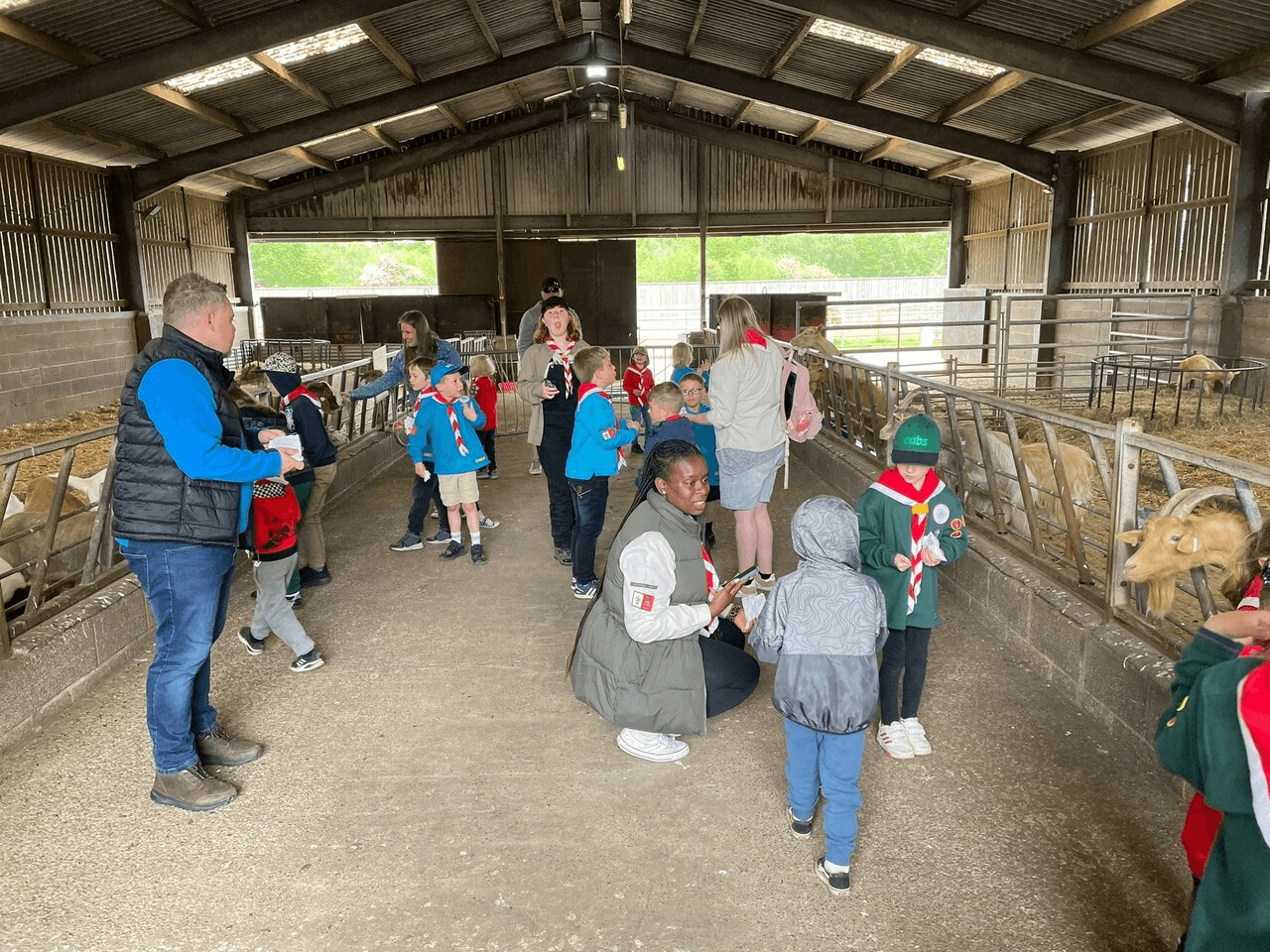 Celebrate Joy - Unforgettable Birthdays at The Forge Mill Farm
