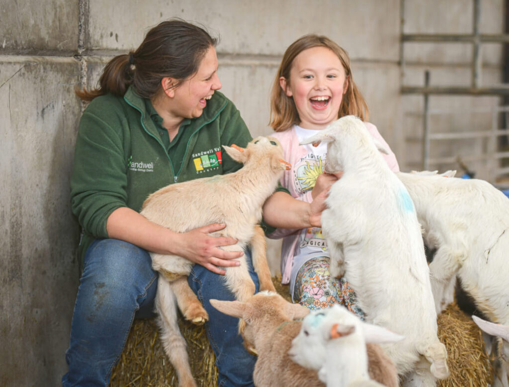 Forge Mill Farm - A Great Day Out