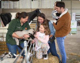 Forge Mill Farm - A Great Day Out