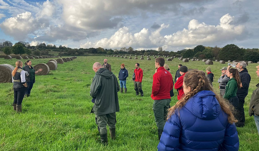 Sandwell Valley’s Forge Mill Farm wins conservation award - Forge Mill Farm