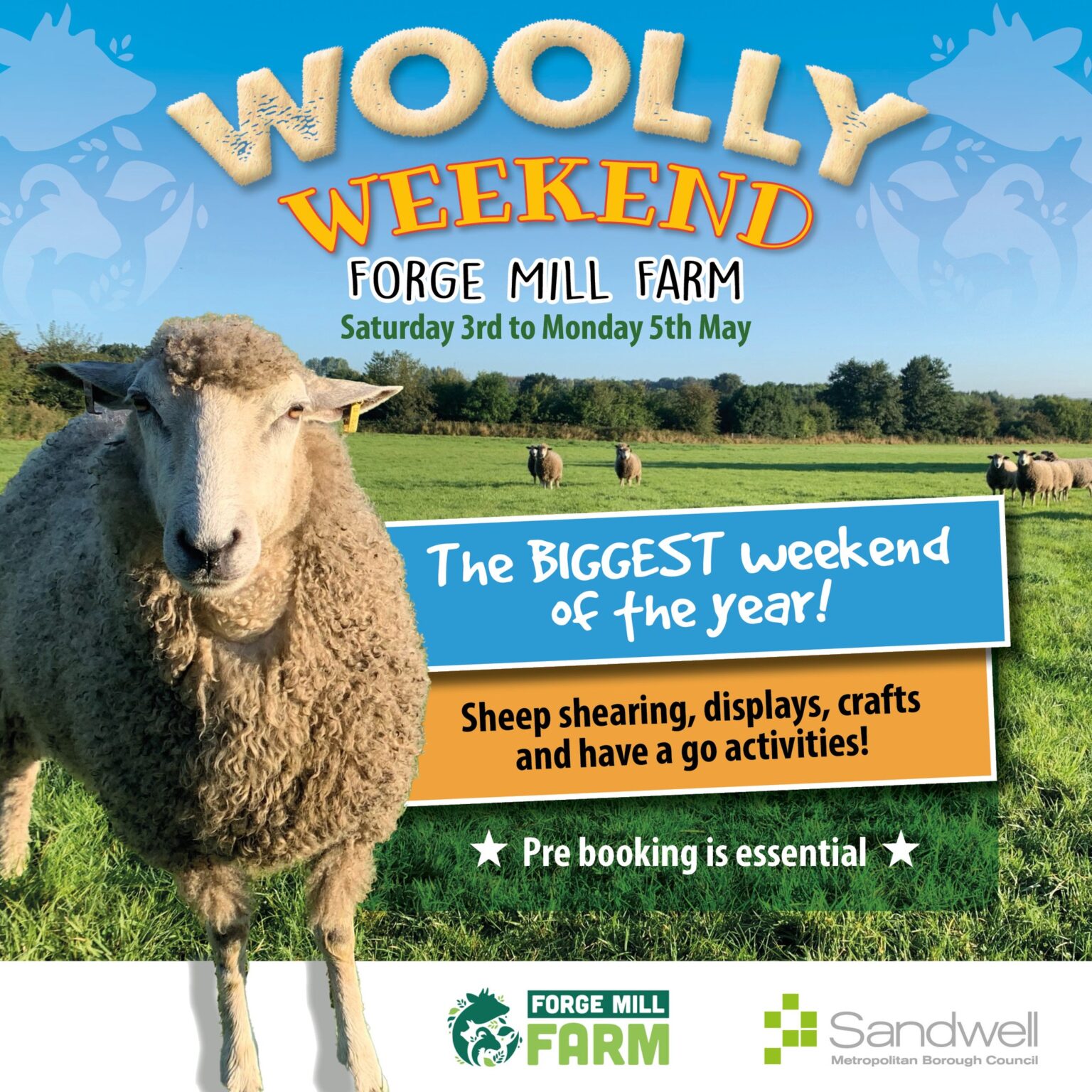 WOOLLY WEEKEND - Forge Mill Farm