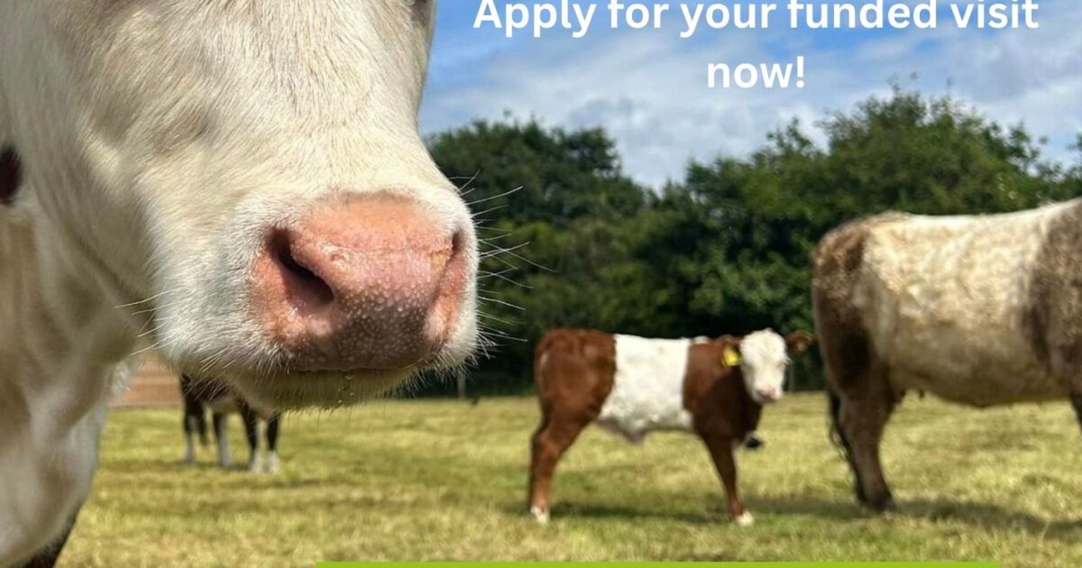 Farming Fortnight - Forge Mill Farm