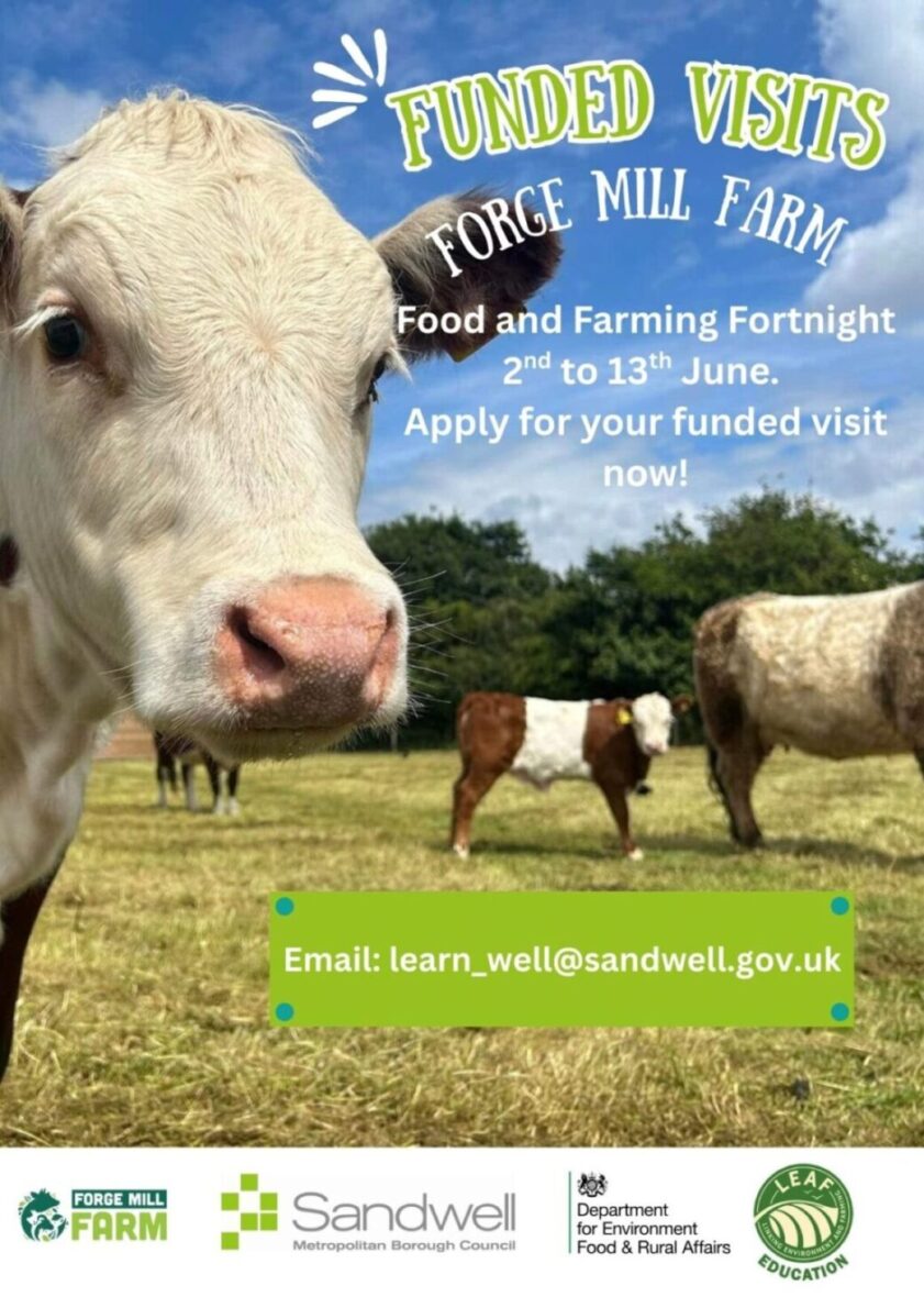 Farming Fortnight - Forge Mill Farm