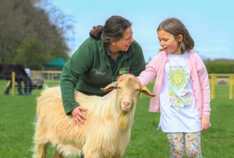 Visit - Forge Mill Farm