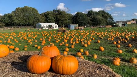 Visit - Forge Mill Farm